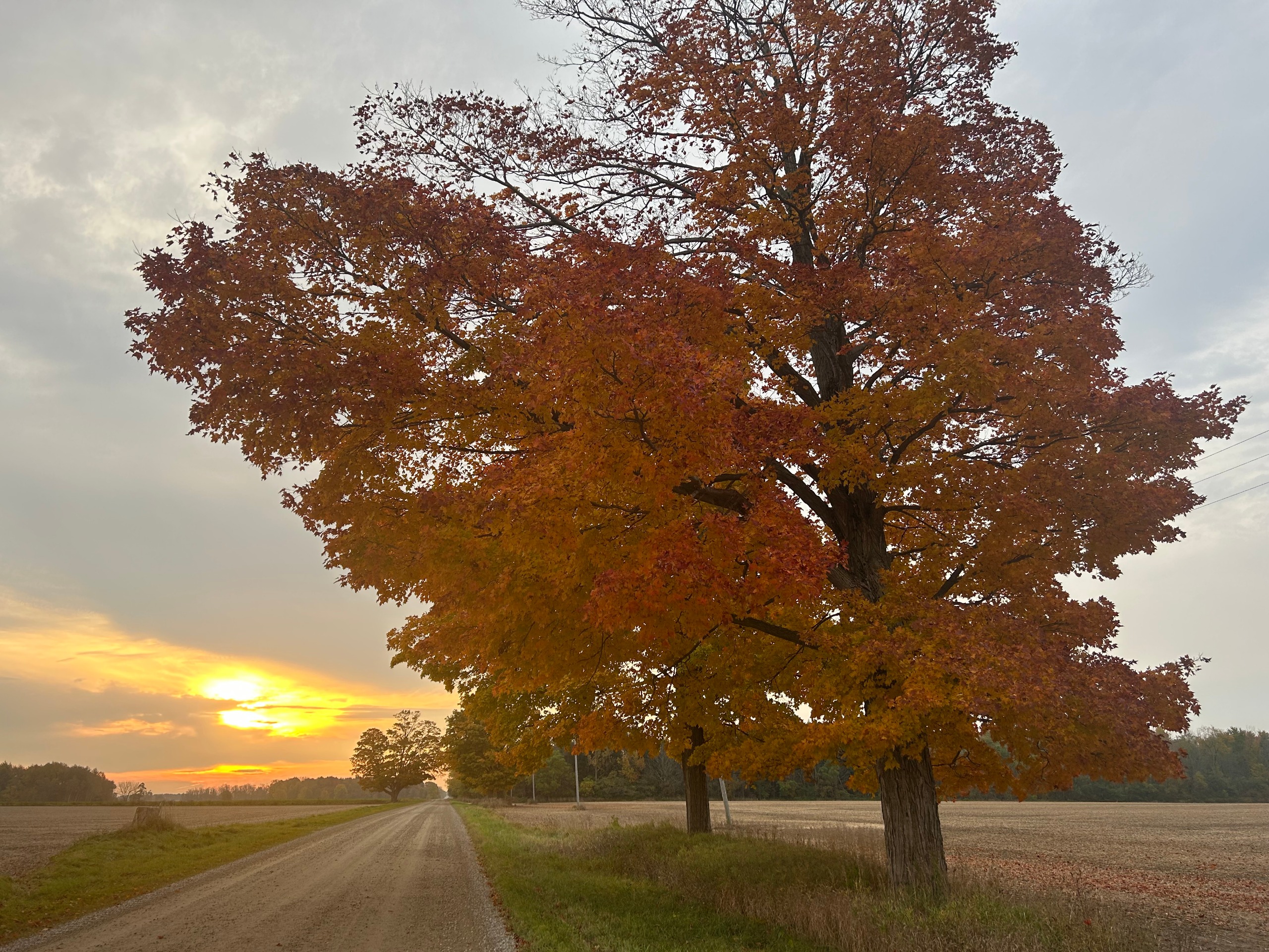 Huron East Community Branding Project | Huron East Asks Residents